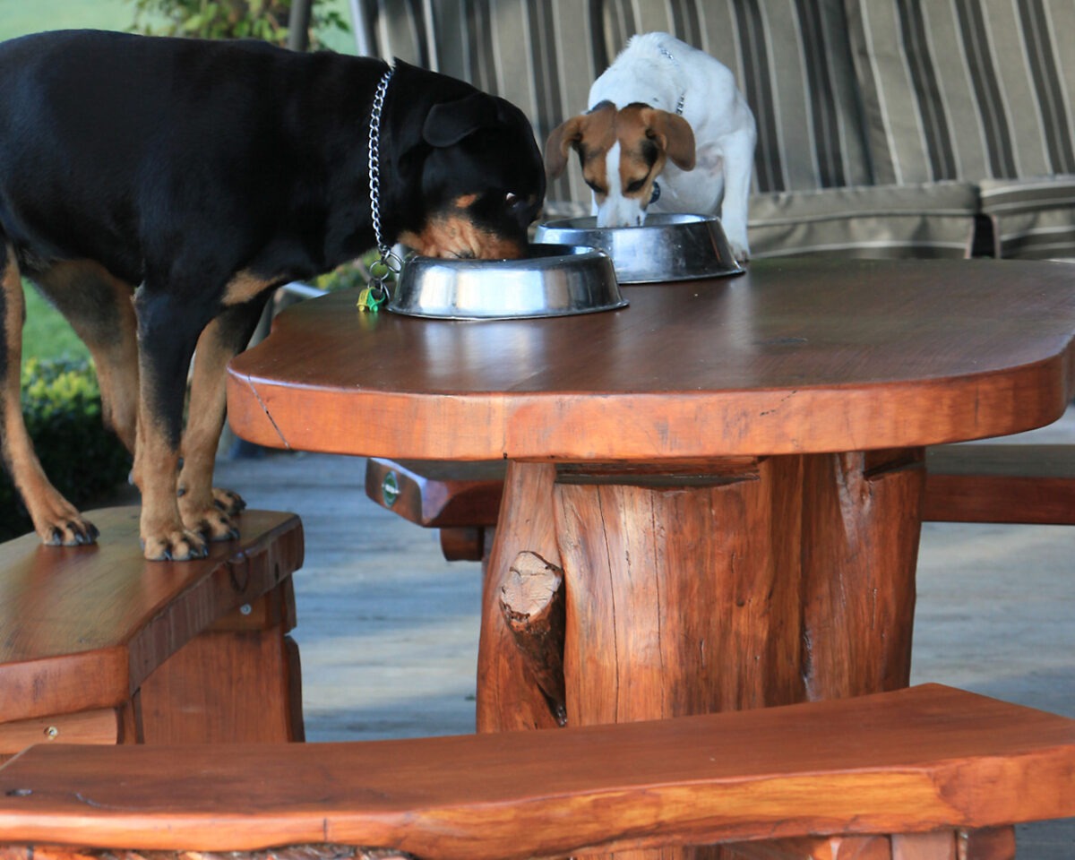 Gallery - Big Mac Slabs